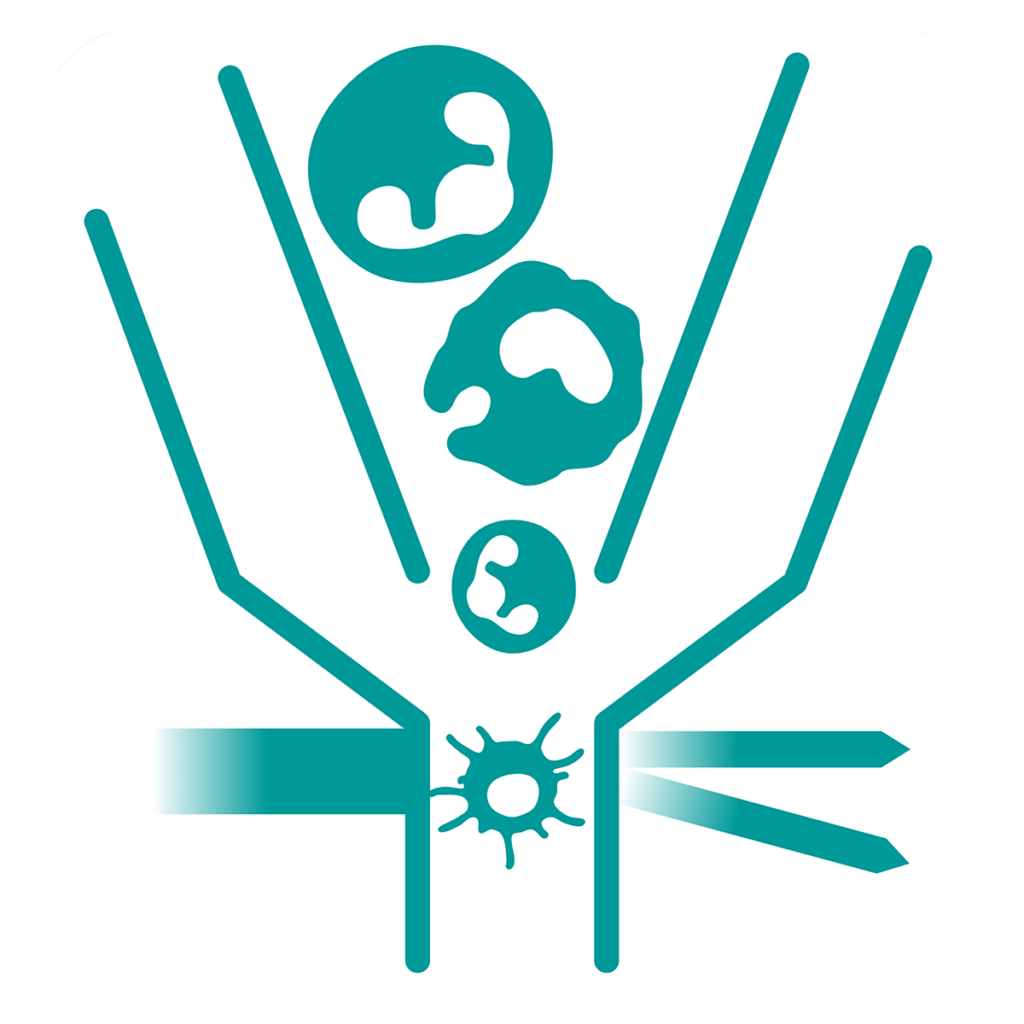 Flow cytometry - BioMedha