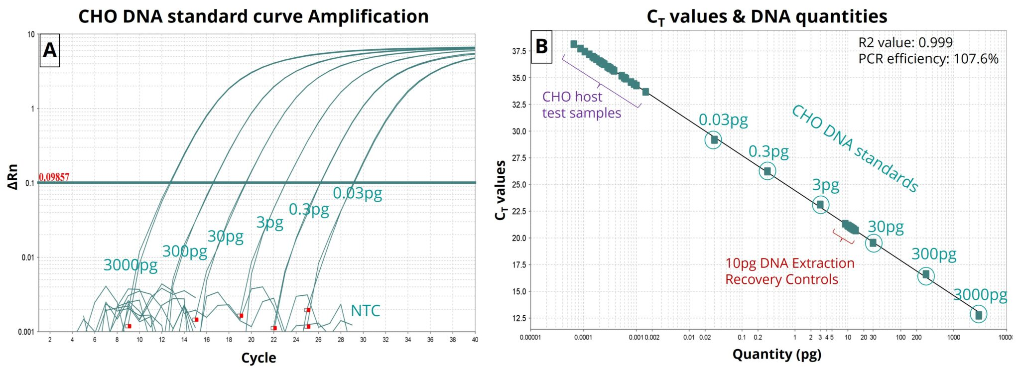 Residual host cell DNA quantification - BioMedha