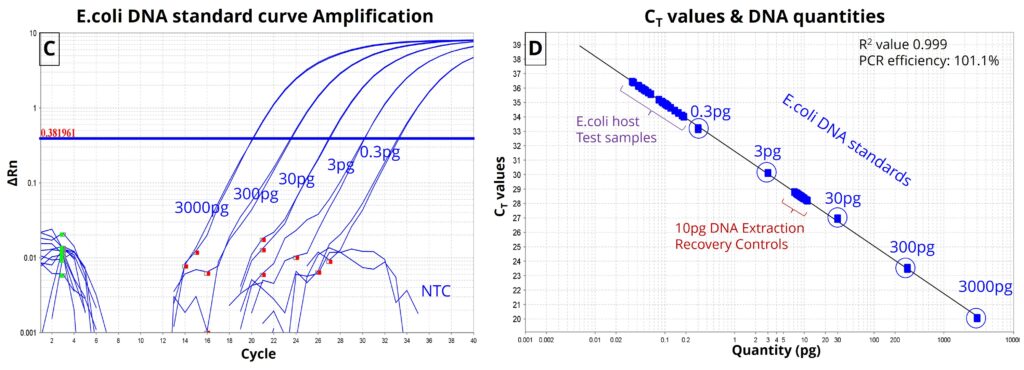 Residual host cell DNA quantification - BioMedha