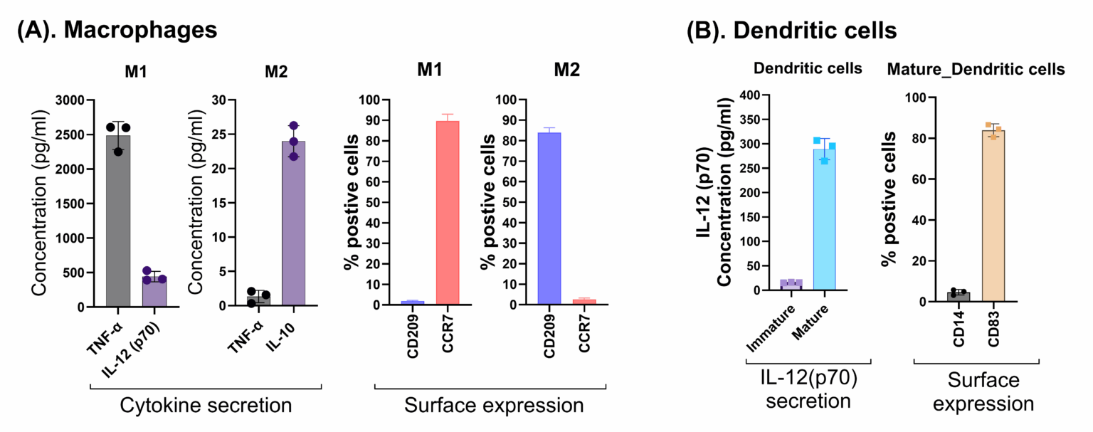 Monocyte differentiation - BioMedha